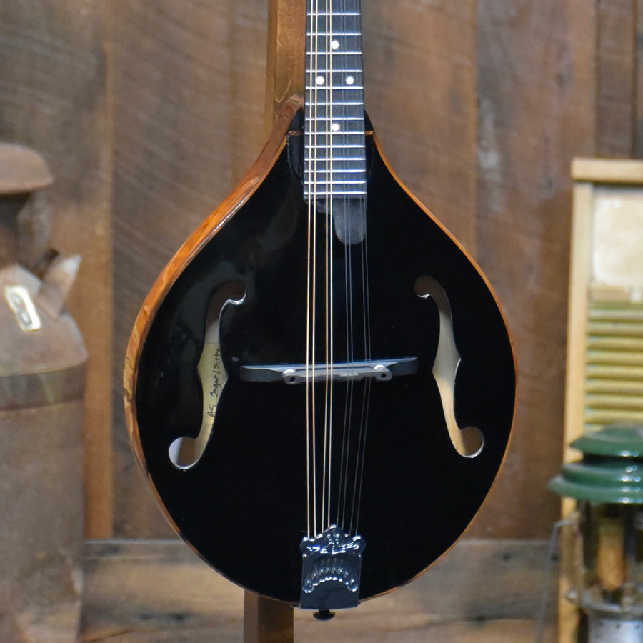 Pava A5 Satin A-Style Mandolin With Case - Banjo Ben's General Store