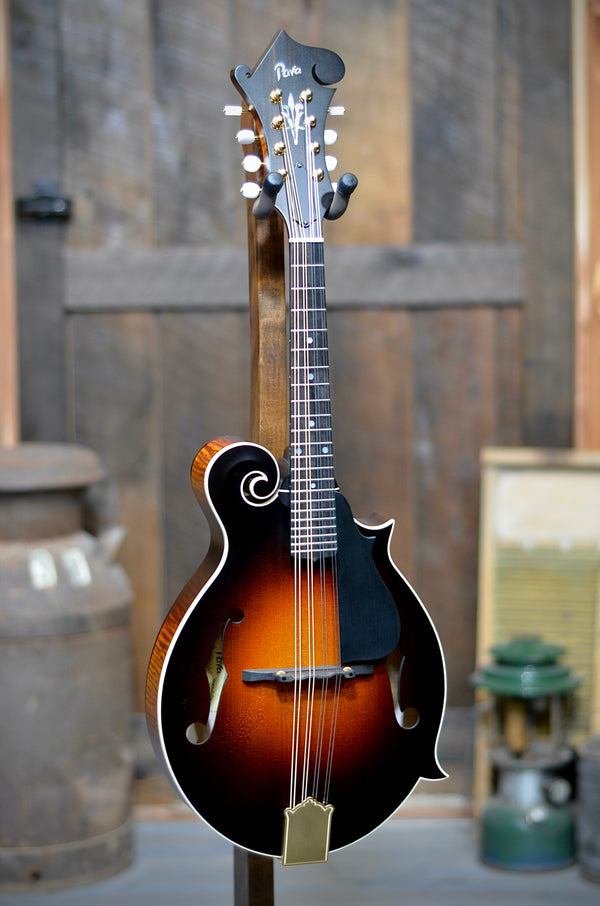 Pava F5 Satin F-Style Mandolin With Case - Banjo Ben's General Store