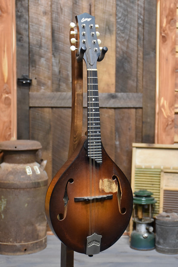 Pre-Owned Collings MT A-Style Mandolin With Case - Banjo Ben's General ...