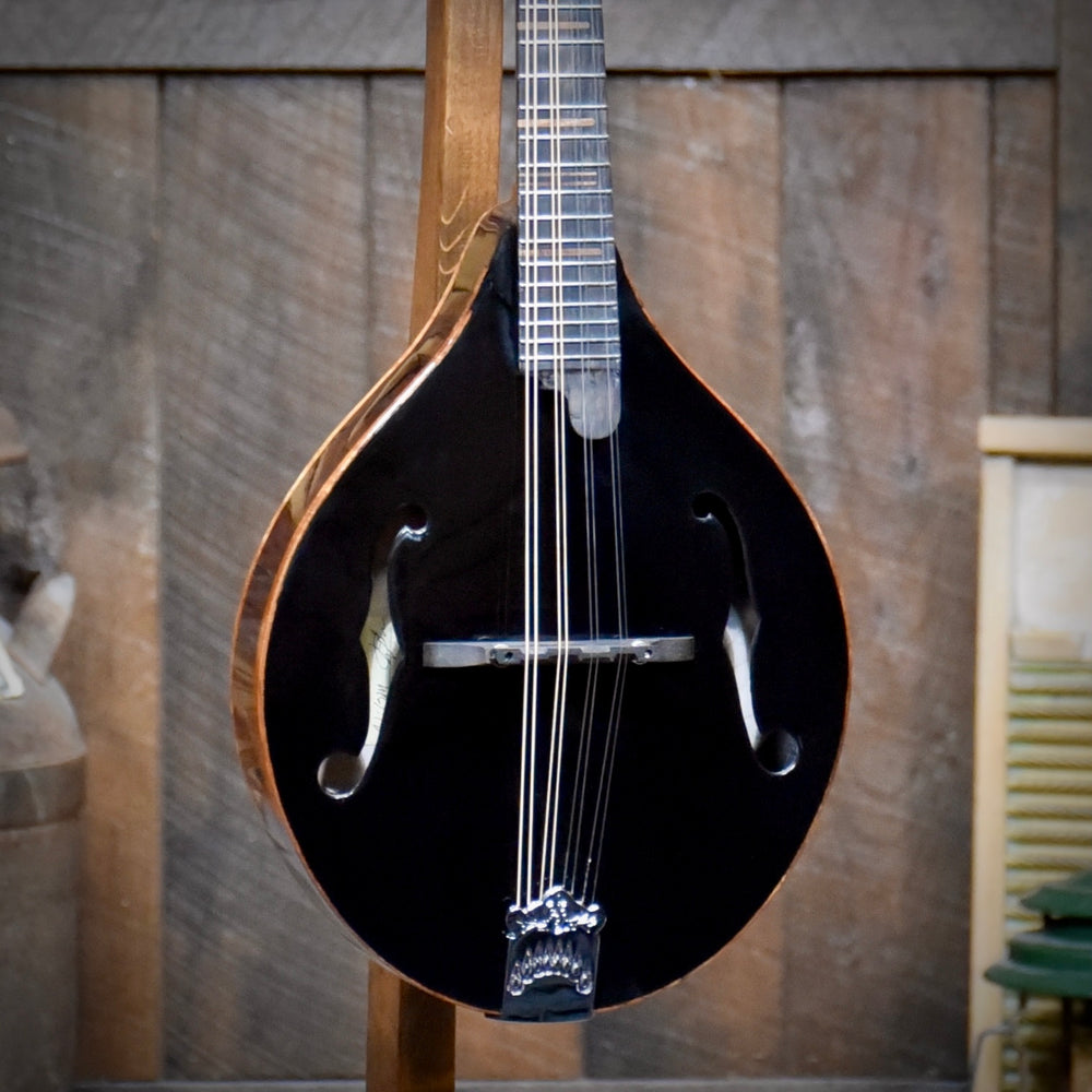 Northfield Big Mon Wide-Nut Honey F-Style Mandolin With One Piece Back ...
