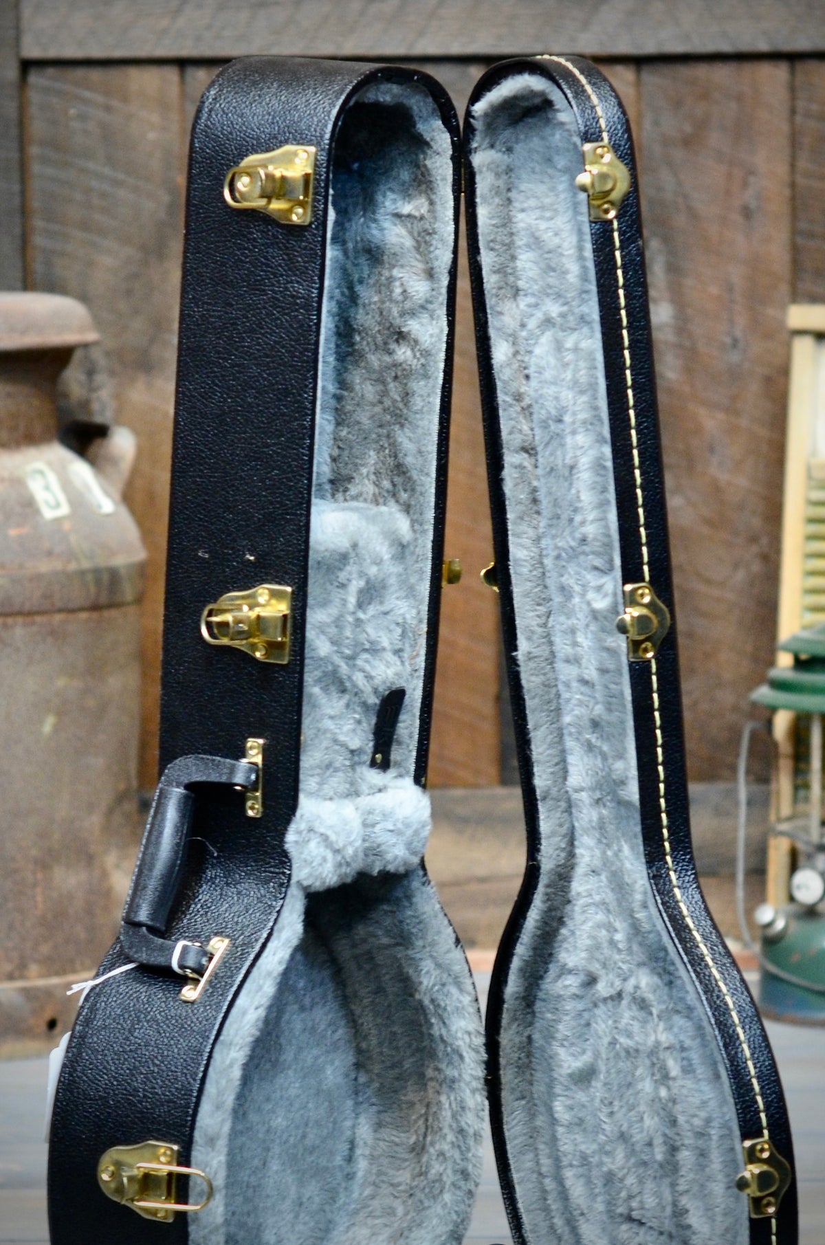 Gold Tone BG-Mini Bluegrass Mini Banjo with Case - Banjo Ben's General ...