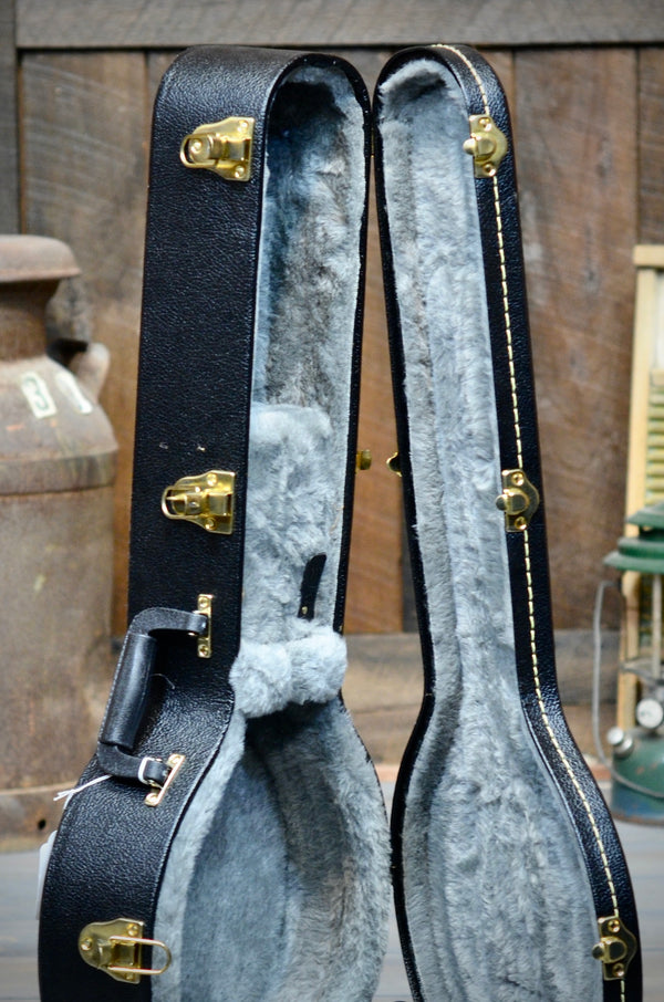 Gold Tone BG-Mini Bluegrass Mini Banjo with Case - Banjo Ben's General ...